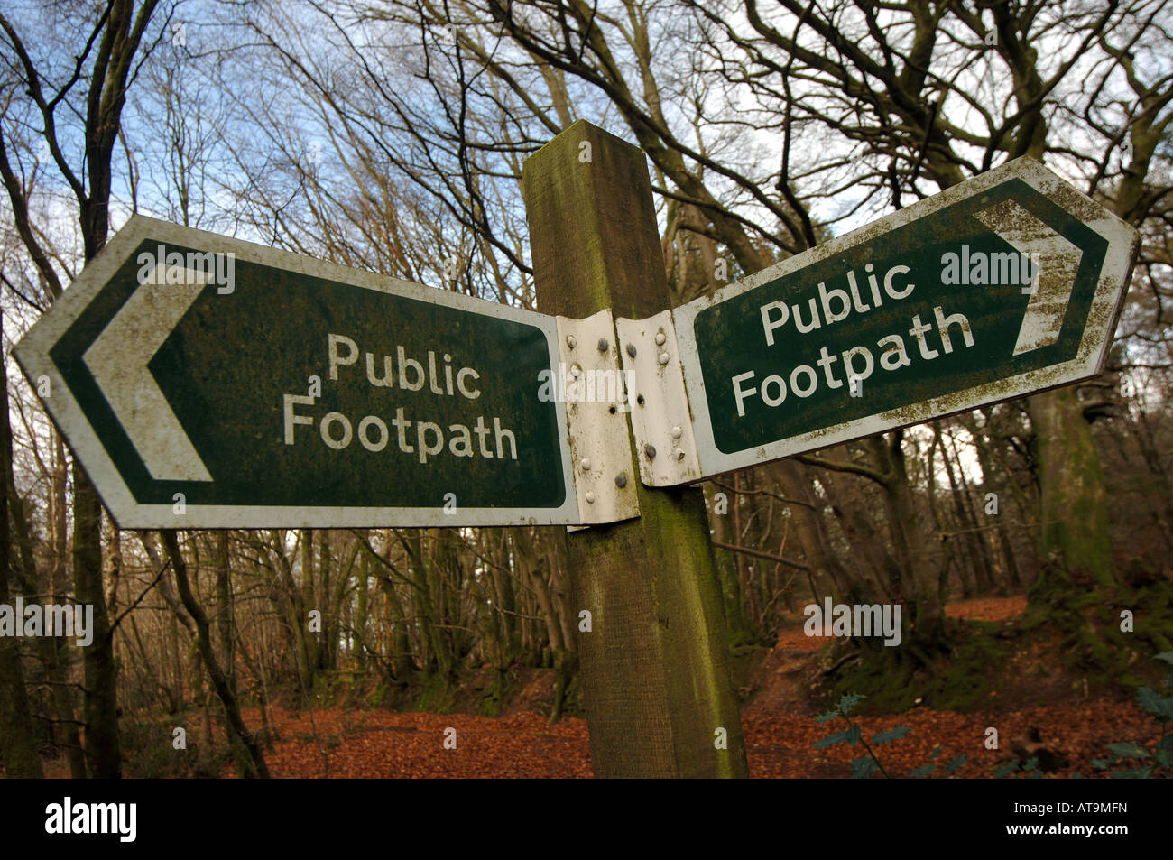 A public footpath sign pointing in opposite directions along a forest ...