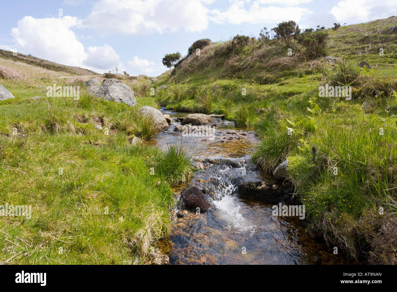 Blue water dartmoor hi-res stock photography and images - Alamy