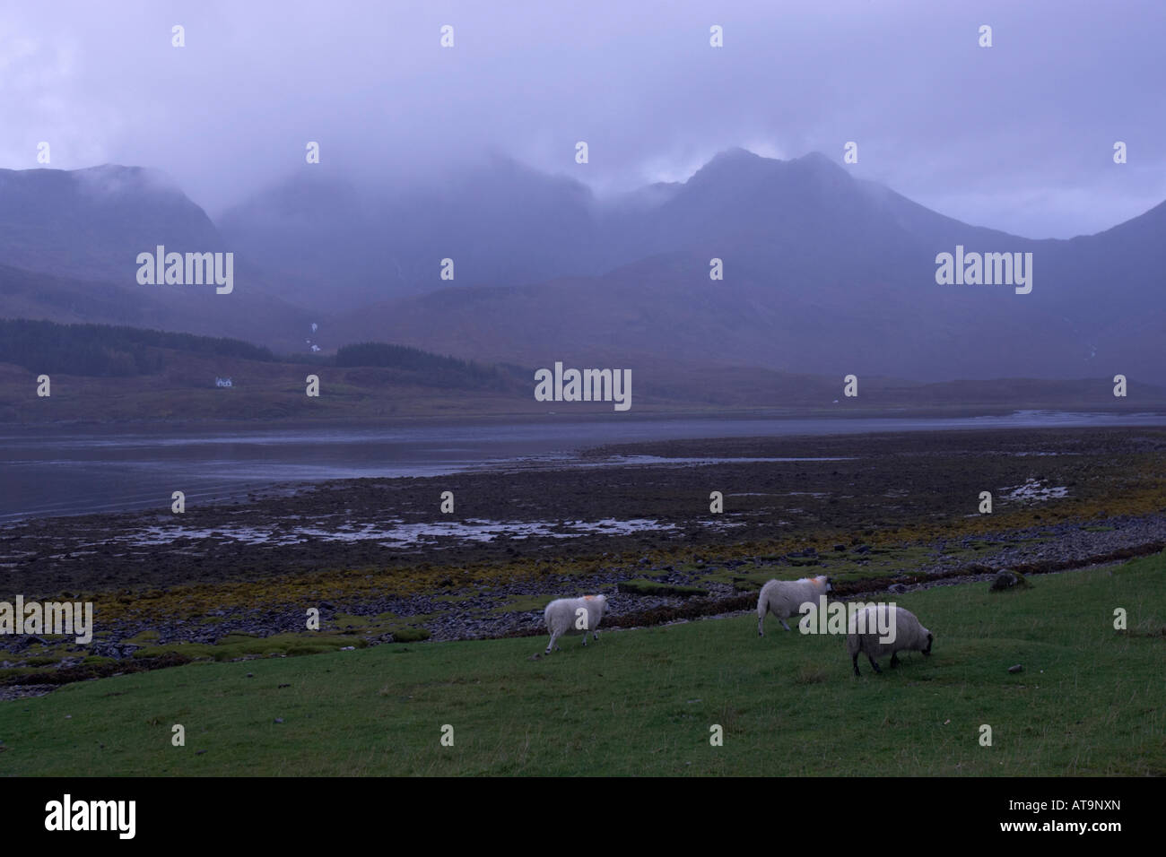 Blaven Mountain , Isle of Skye , Scotland Stock Photo - Alamy