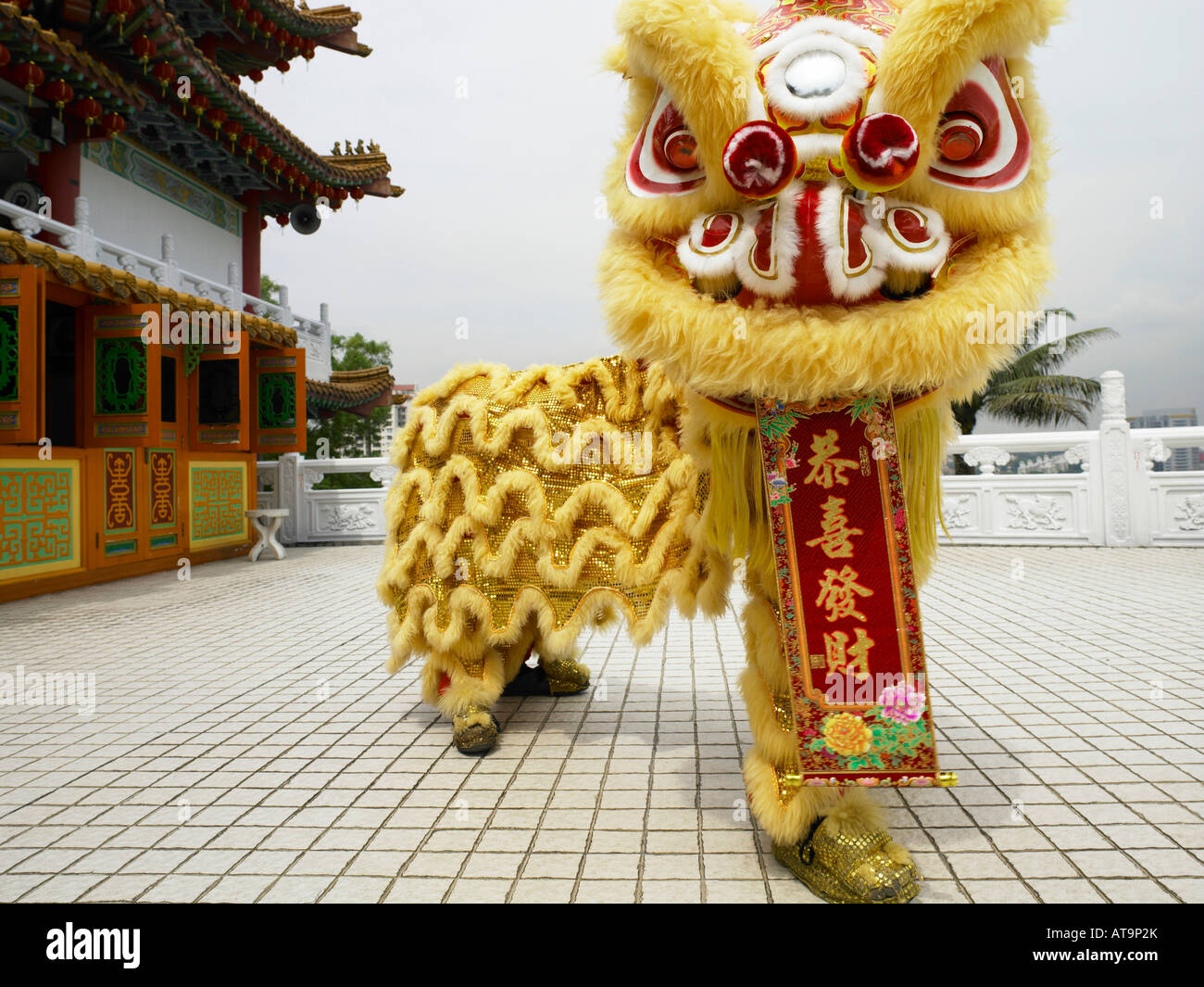 lion dance performer with chinese banner Stock Photo - Alamy