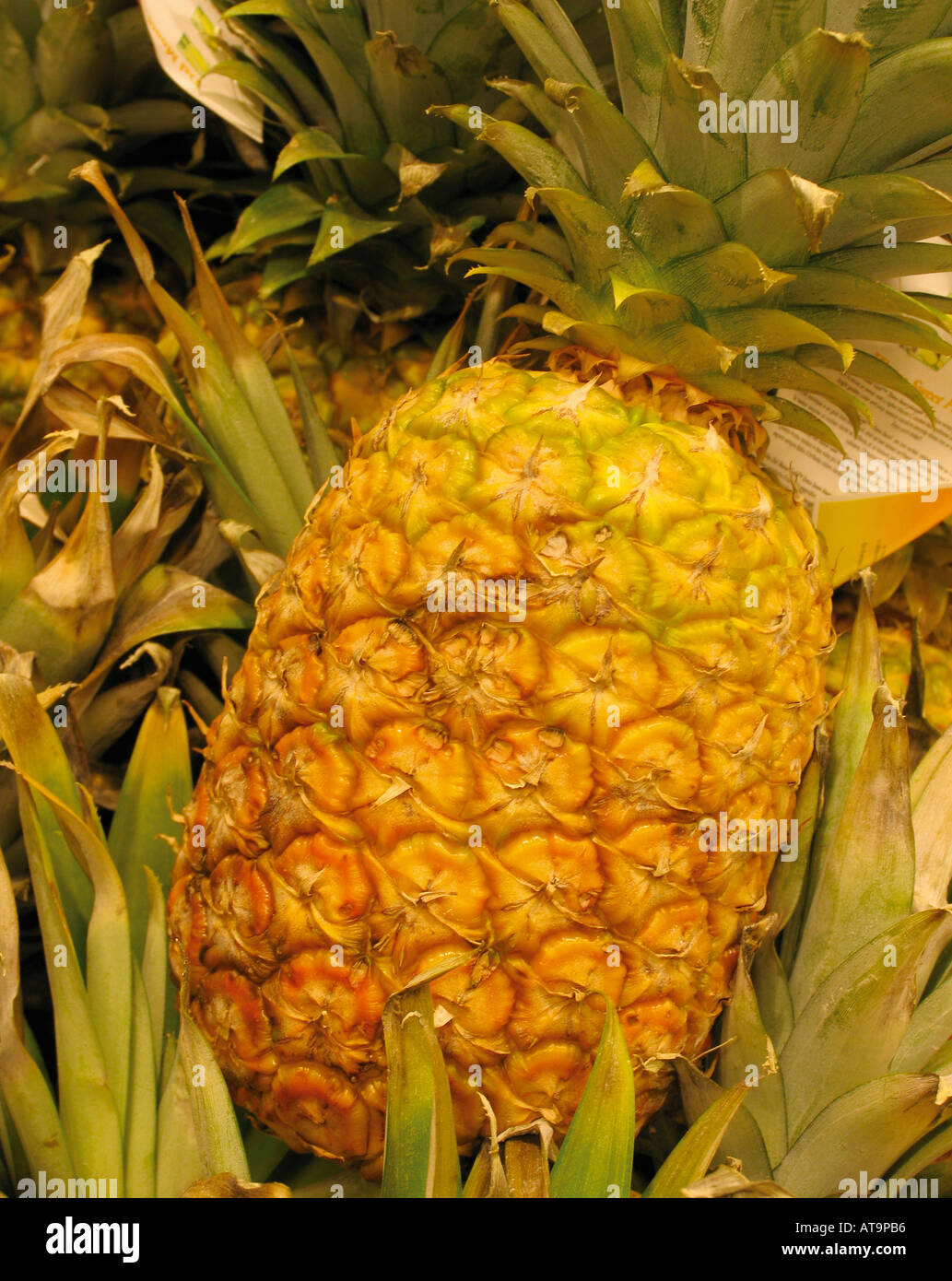 A pineapple on supermarket fruit stall Stock Photo - Alamy