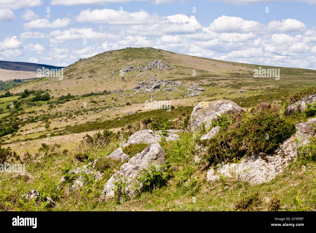Bonehill rocks dartmoor national park hi-res stock photography and ...