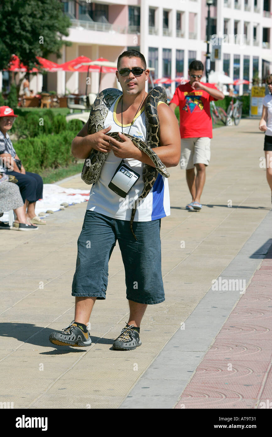 Python Pool High Resolution Stock Photography and Images - Alamy