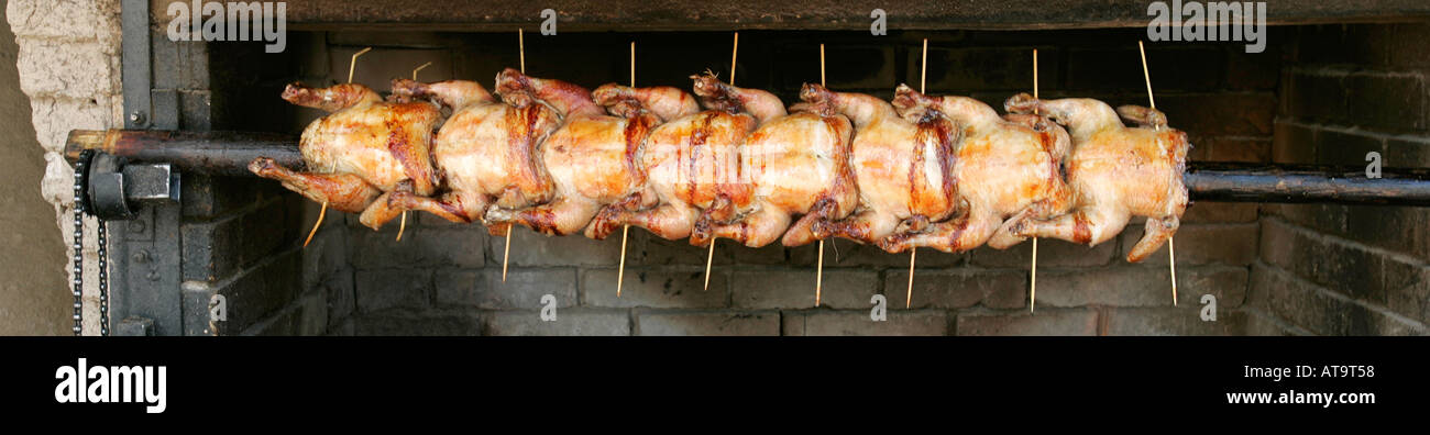 Grilling chickens roasting barbecue cheverme variety delicious fowl for ...