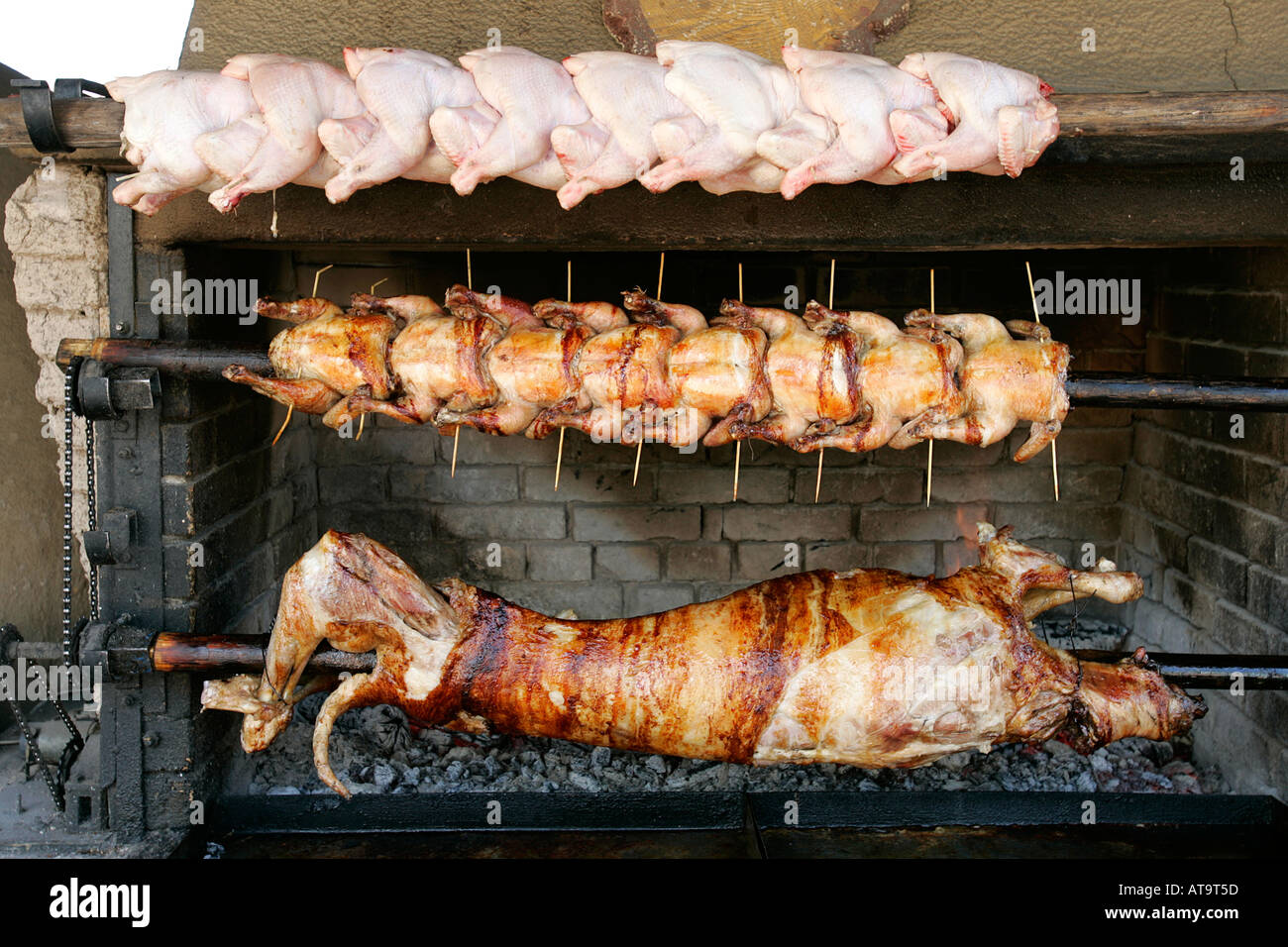 Grilling sheep chickens and pork roasting barbecue cheverme variety ...