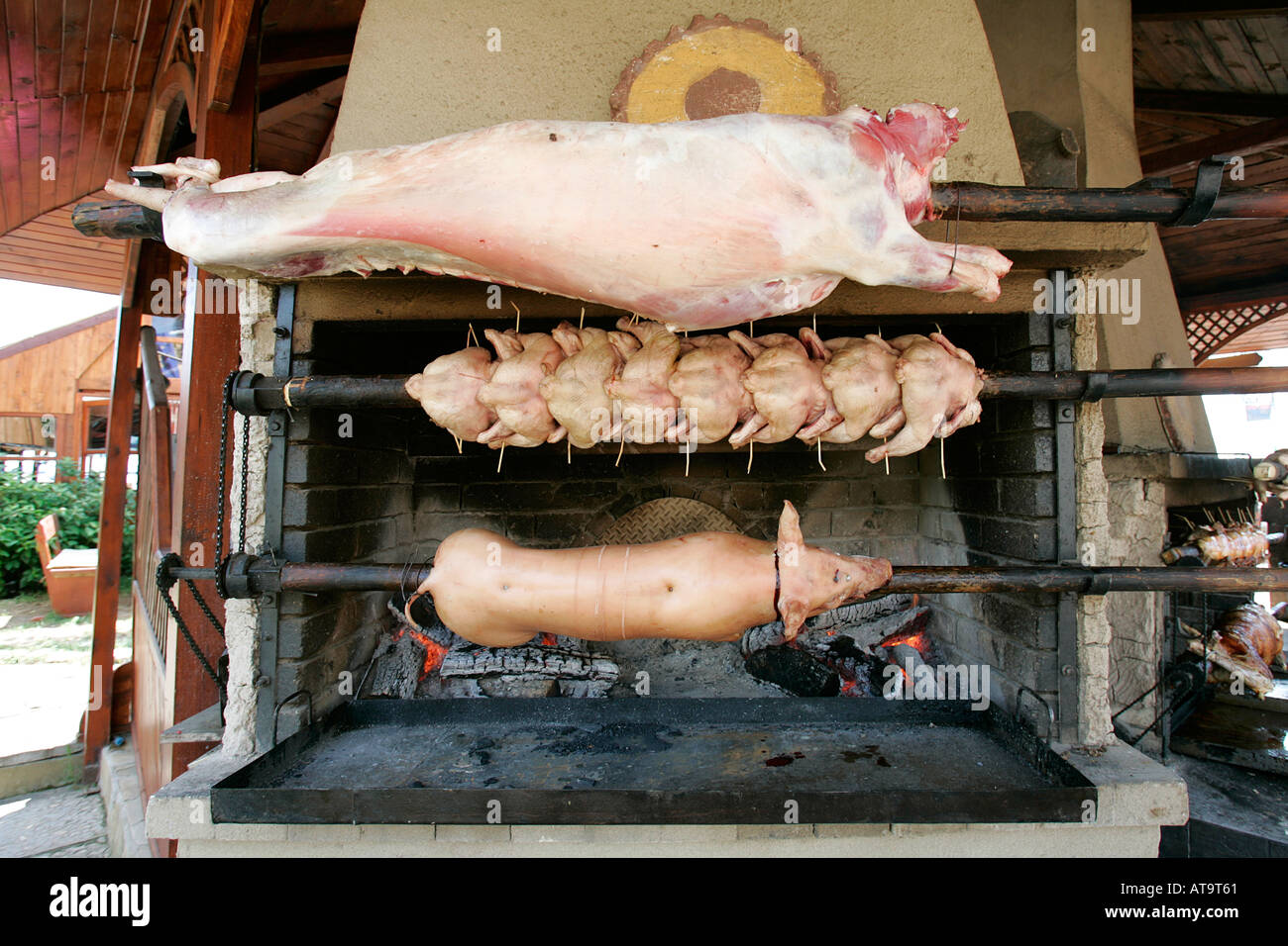 Grilling sheep chickens and pork roasting barbecue cheverme variety ...