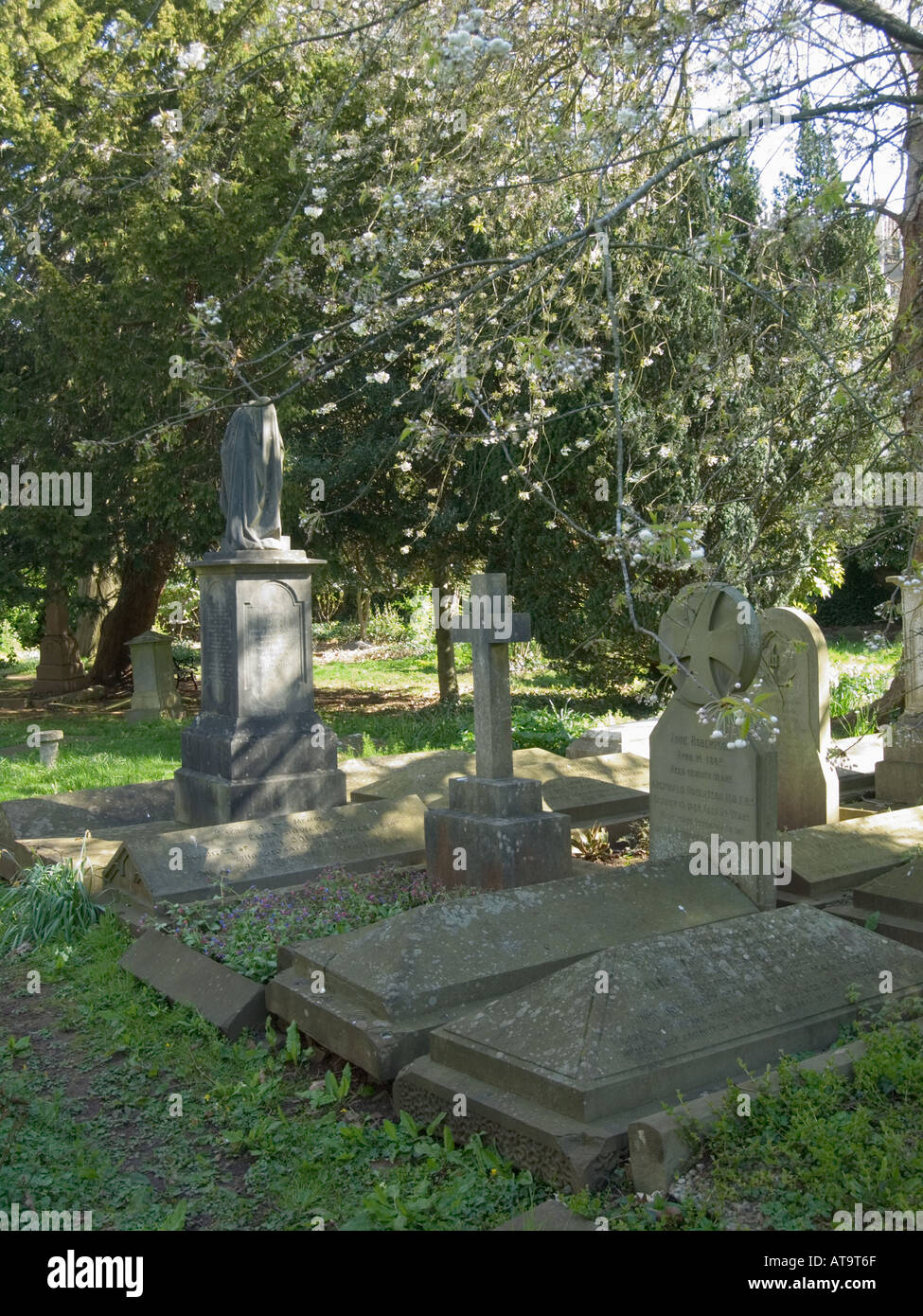 Victorian cemetry in Clifton Bristol Natural planting between graves ...