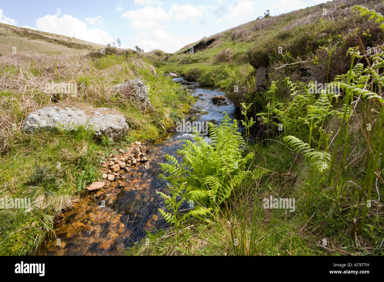 A Dartmoor stream near Postbridge, Devon Stock Photo - Alamy