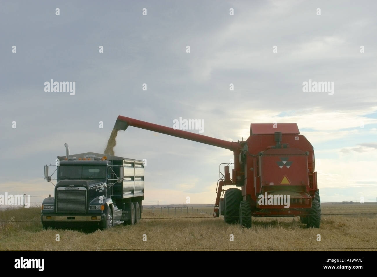 AGRICULTURE Wheat field harvesting in the Canadian Prairies, Alberta ...