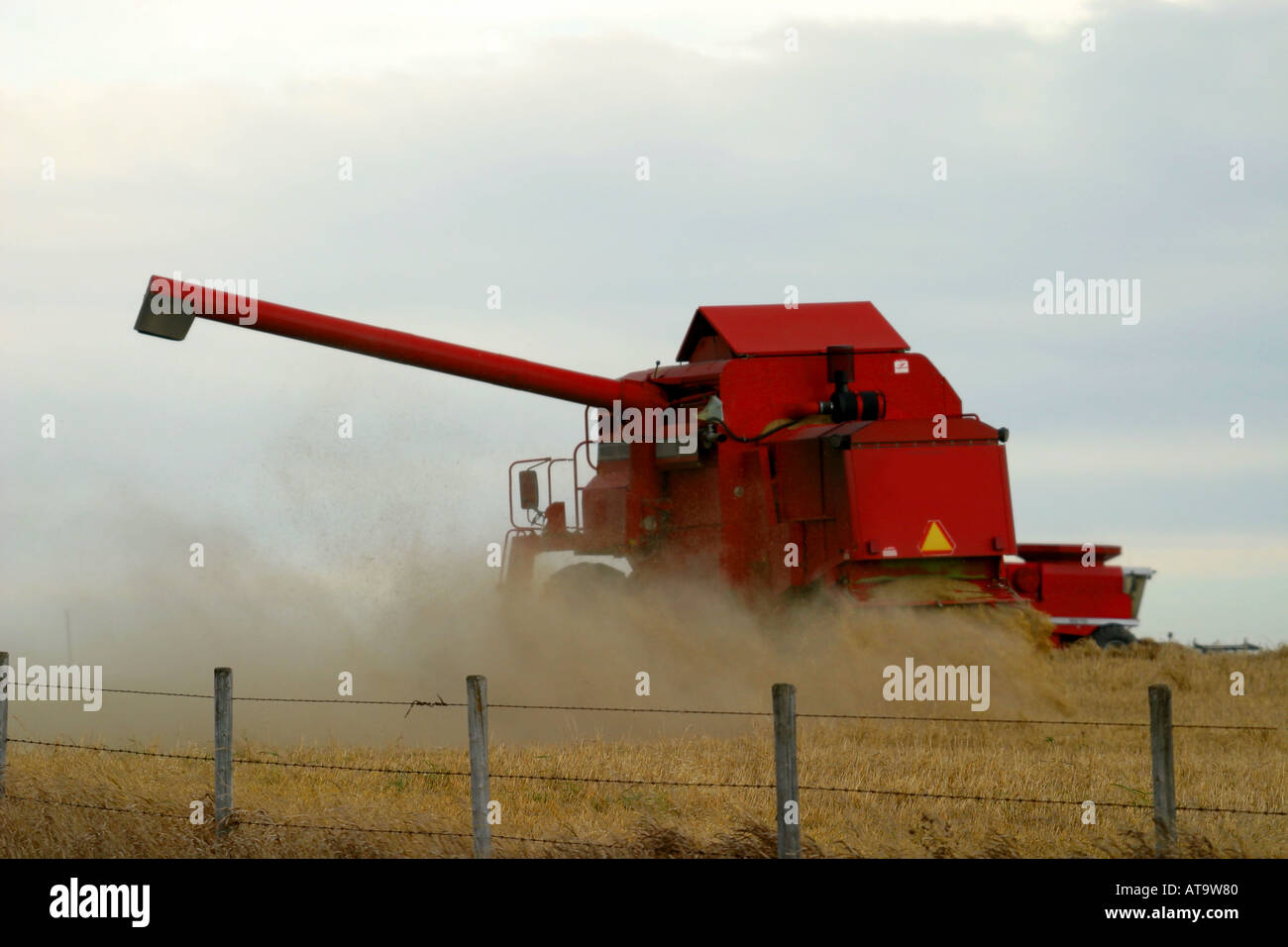 AGRICULTURE Wheat field harvesting in the Canadian Prairies, Alberta ...