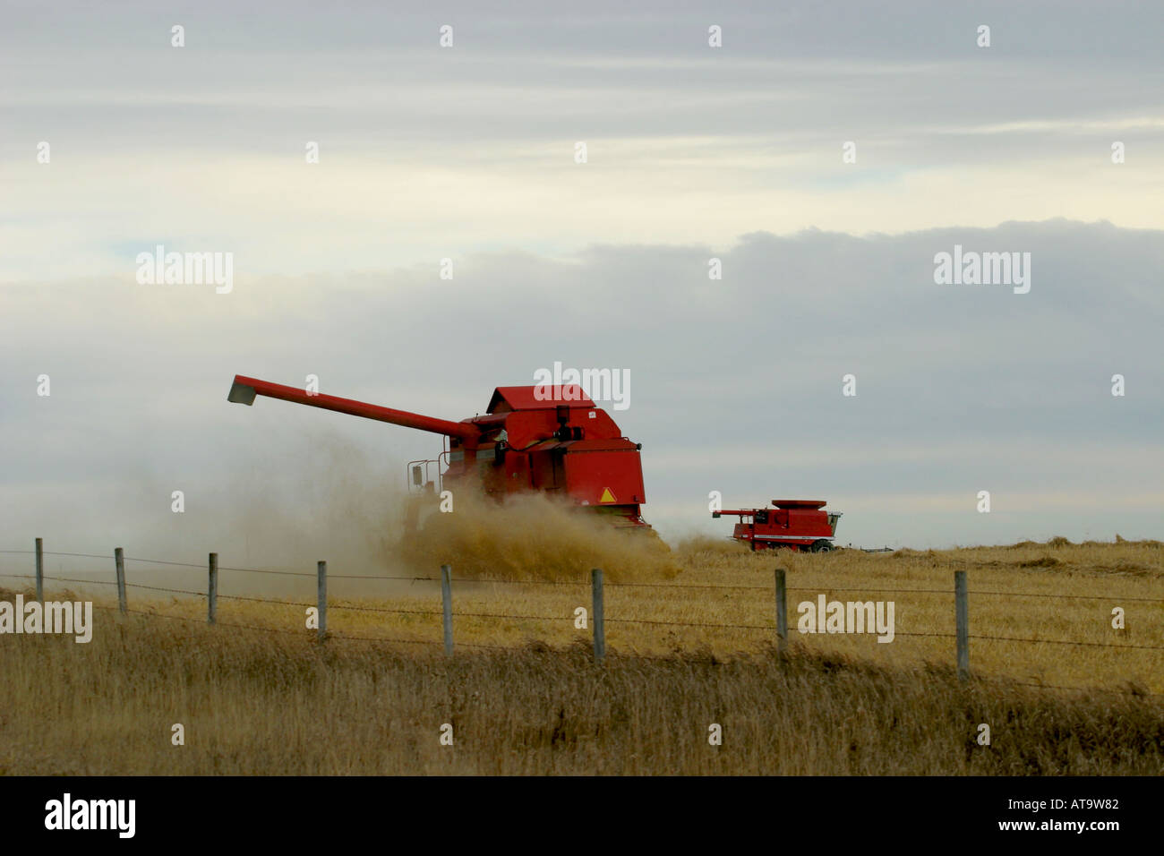 AGRICULTURE Wheat field harvesting in the Canadian Prairies, Alberta ...