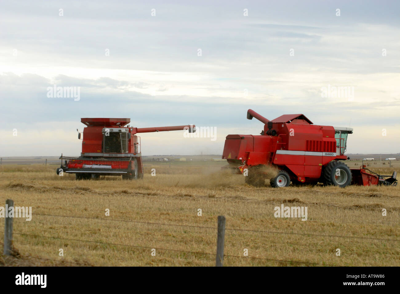 AGRICULTURE Wheat field harvesting in the Canadian Prairies, Alberta ...