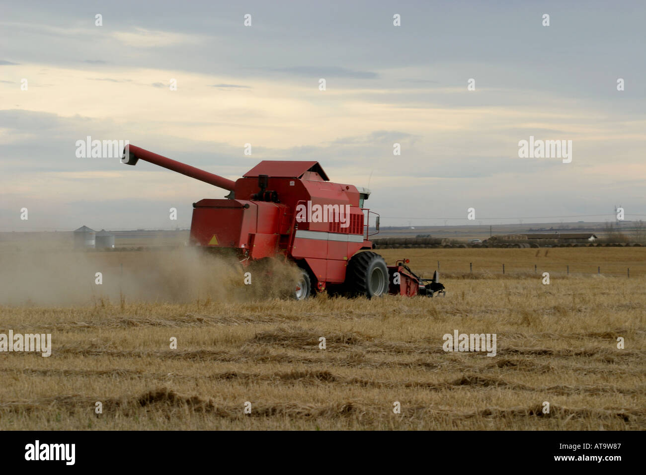 AGRICULTURE Wheat field harvesting in the Canadian Prairies, Alberta ...