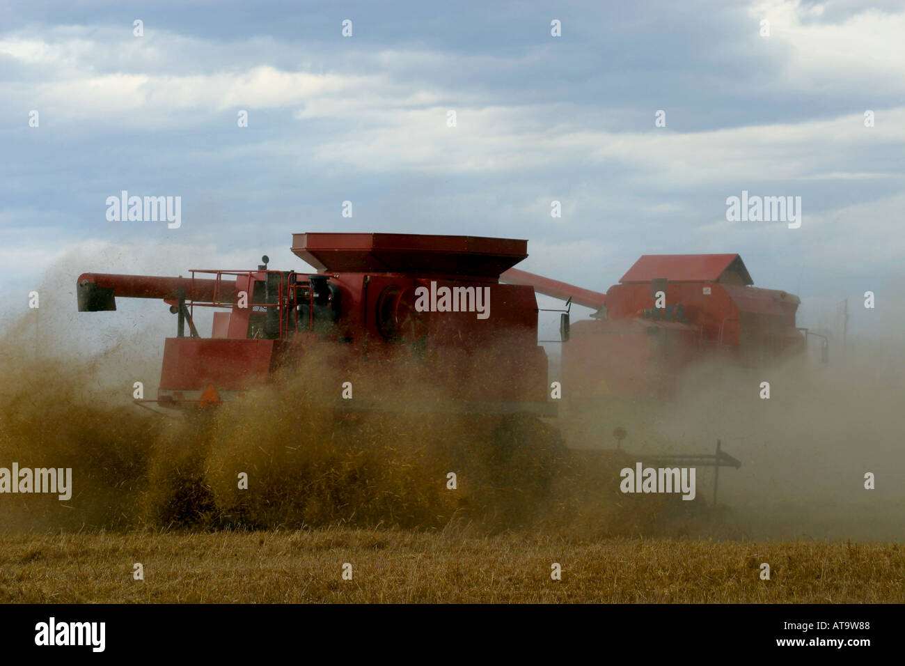 AGRICULTURE Wheat field harvesting in the Canadian Prairies, Alberta ...
