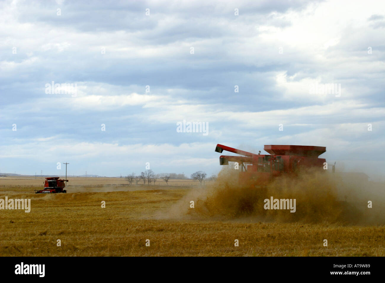 AGRICULTURE Wheat field harvesting in the Canadian Prairies, Alberta ...