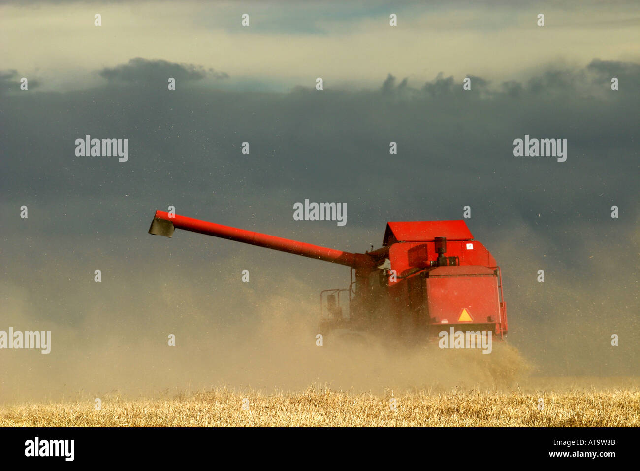AGRICULTURE Wheat field harvesting in the Canadian Prairies, Alberta ...