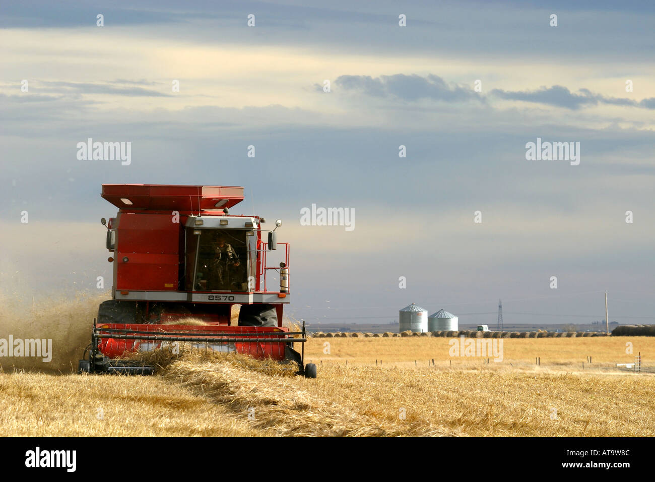 Windrow elevator hi-res stock photography and images - Alamy