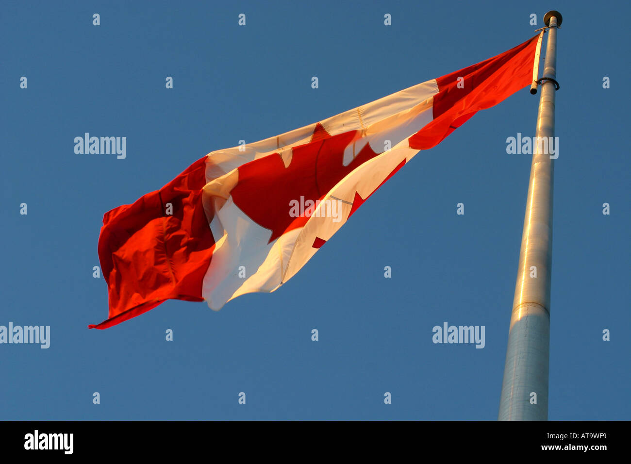 Flags; Canada Canadian Stock Photo - Alamy