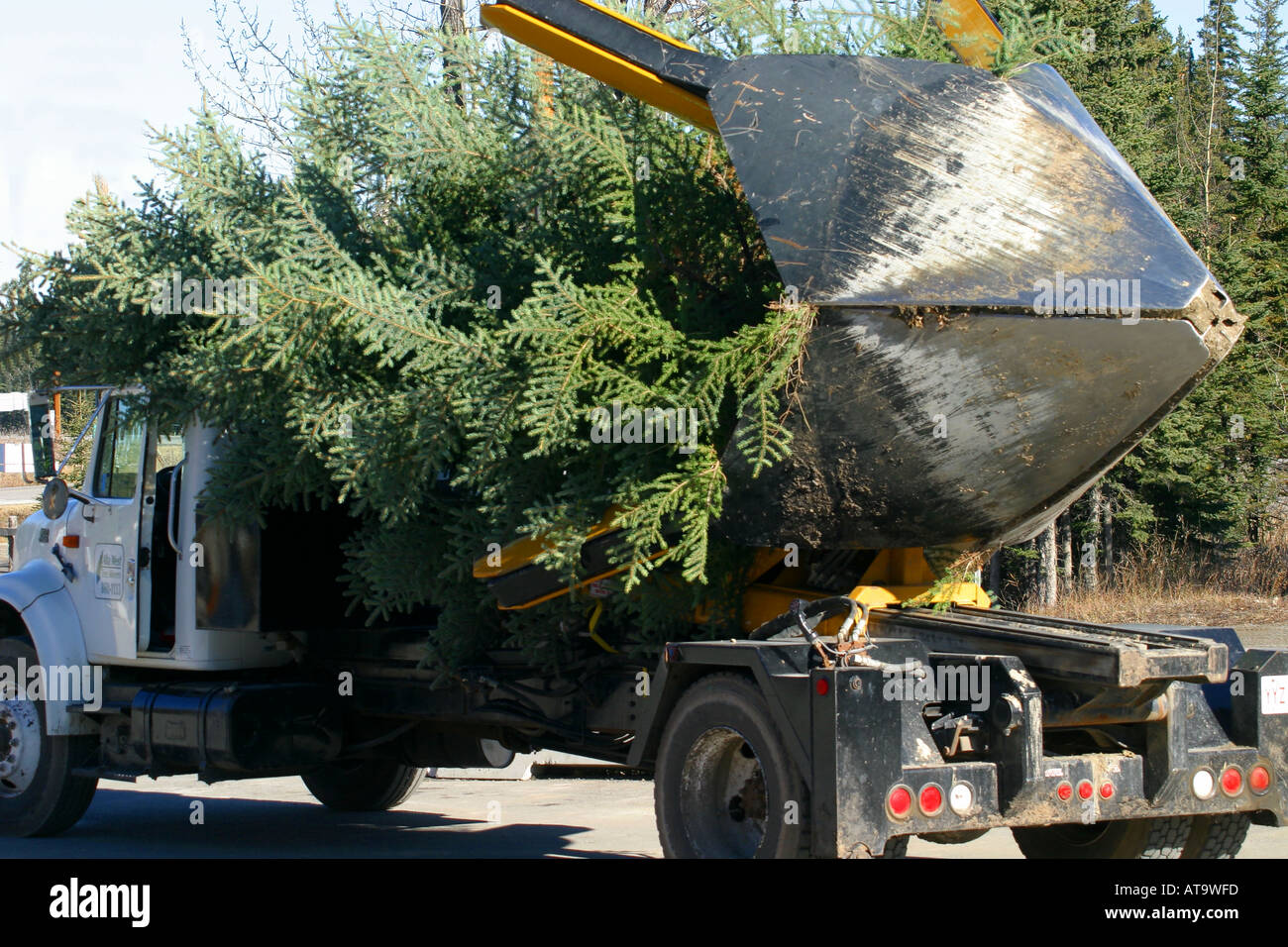 Mechanical tree planter hi-res stock photography and images - Alamy