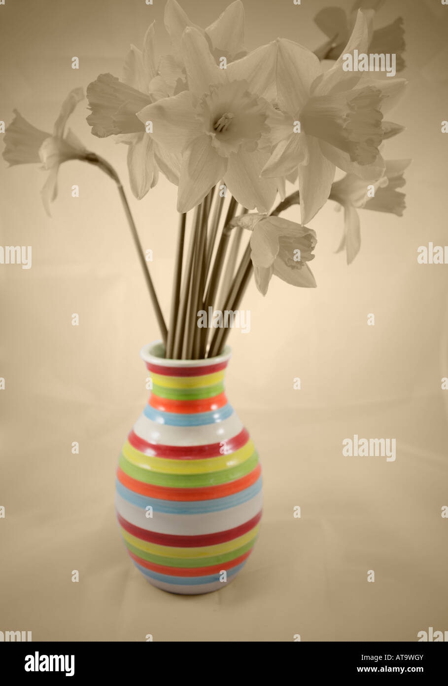 Flowers and coloured vase Stock Photo - Alamy