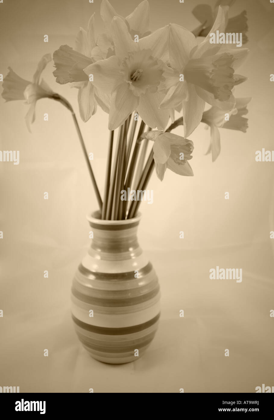 Old fashioned style flower in vase Stock Photo - Alamy