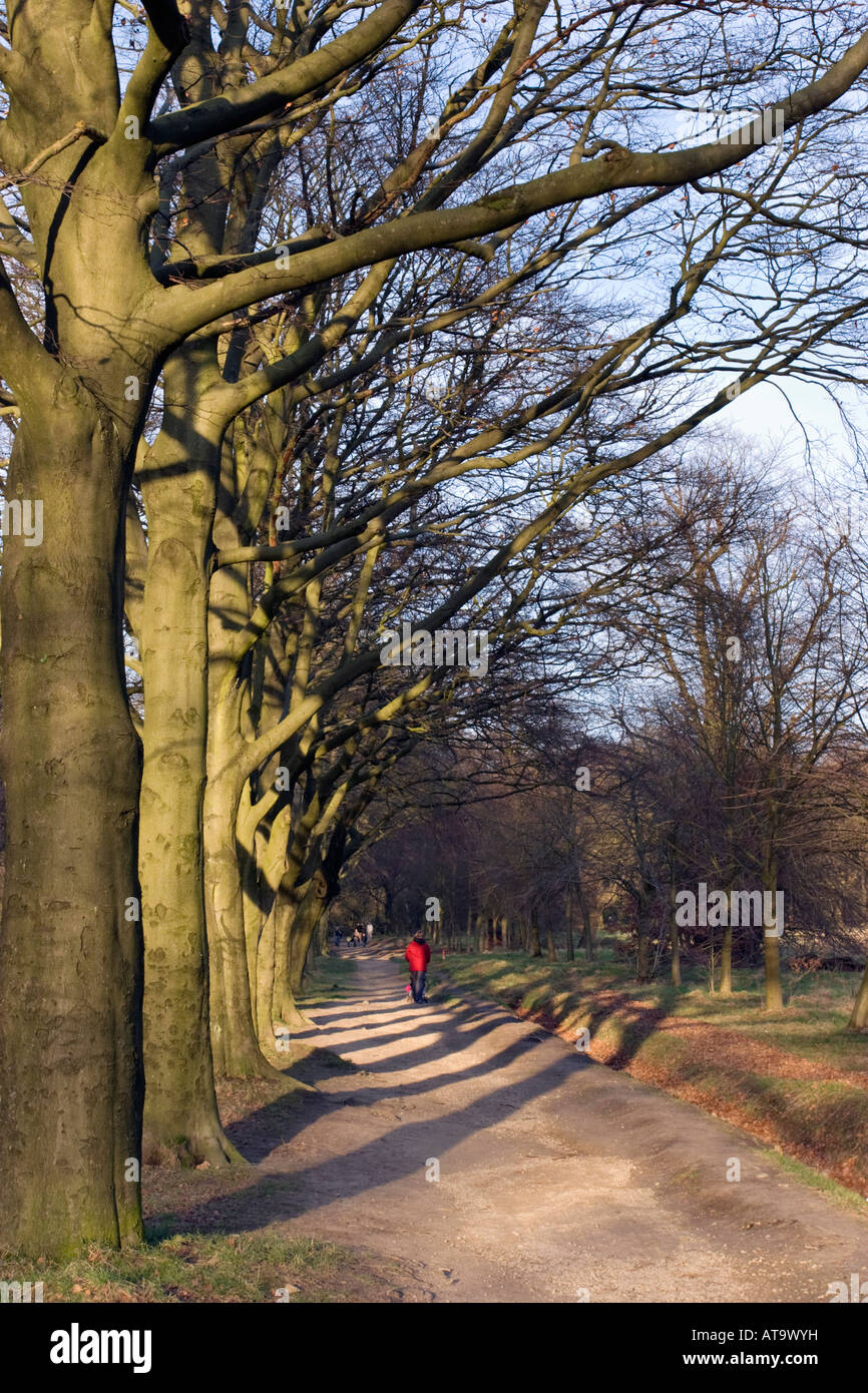 Footpath to Rivington Hall in Lever Park near Horwich Stock Photo - Alamy