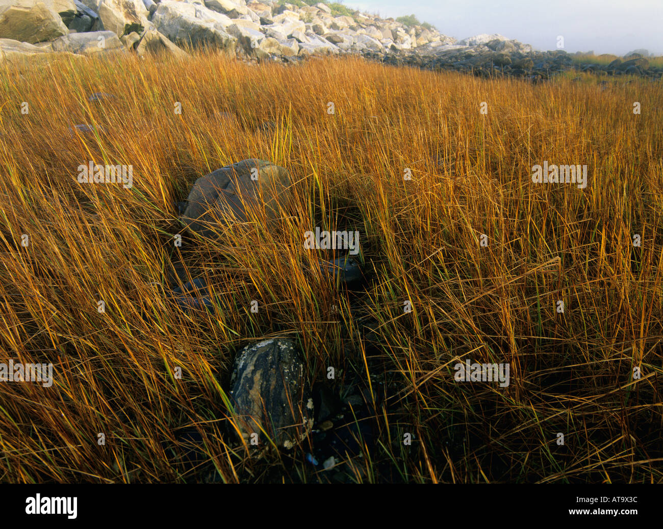 The beautiful scenic landscape of New Hampshire s shoreline which is ...