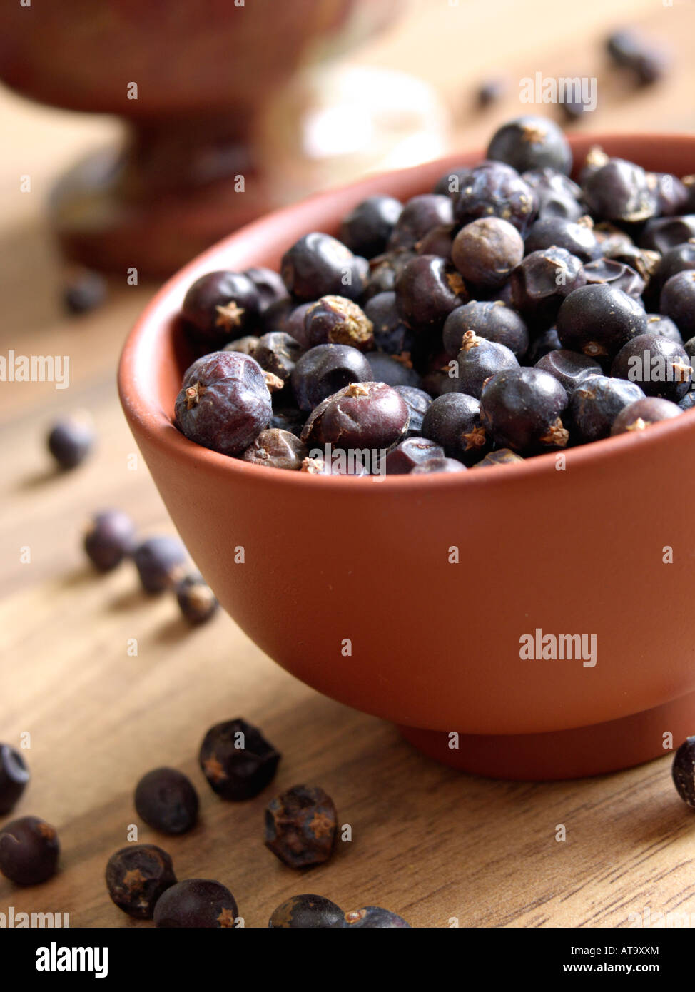 Common juniper (Juniperus communis Stock Photo - Alamy