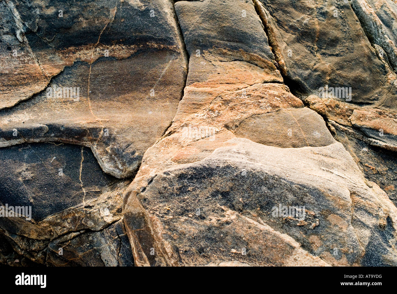 Rock texture at a beach in Rhode Island USA Stock Photo - Alamy
