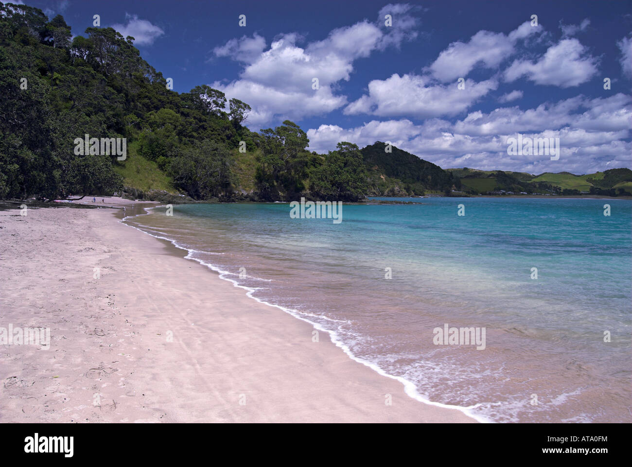 Whale Bay, Tutukaka Coast, New Zealand Stock Photo - Alamy