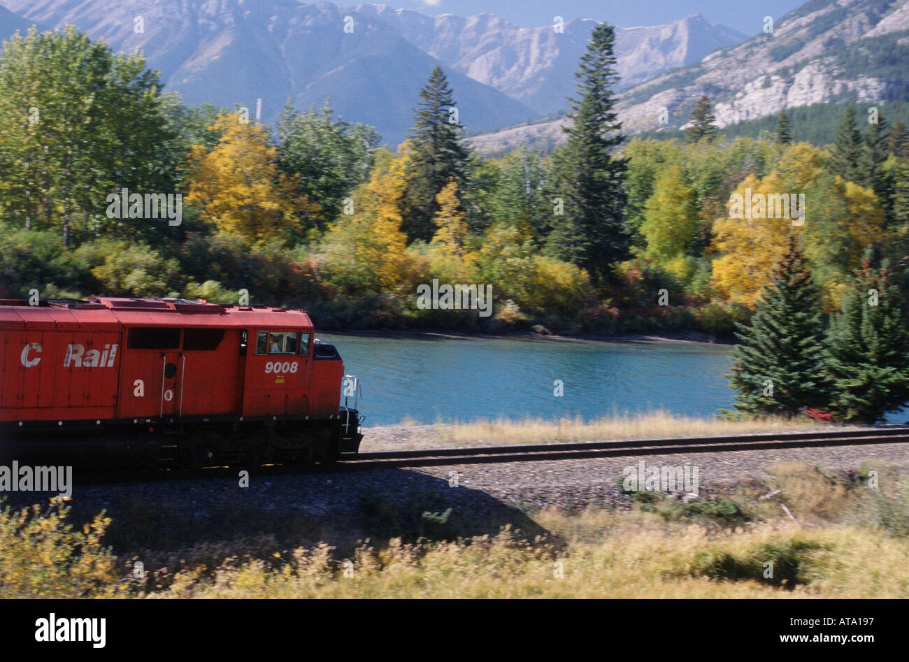 Horizontal A train traveling through the Canadian Rockies in the Fall ...