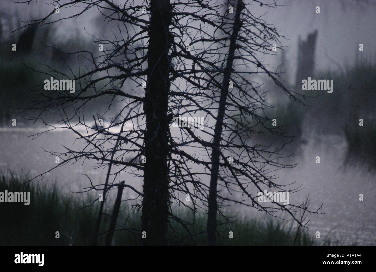 Horizontal Mist Stock Photo - Alamy