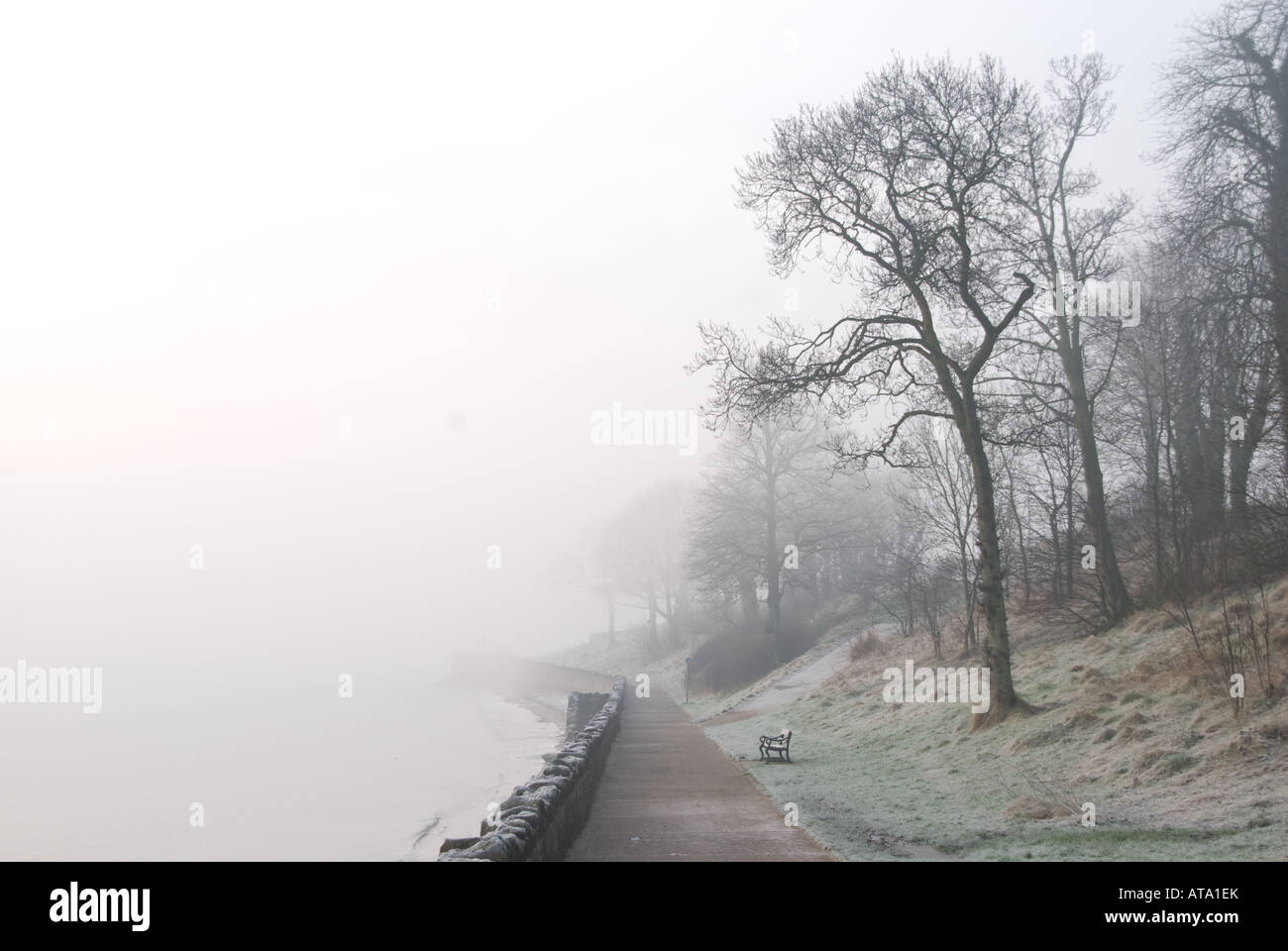Frosty, foggy coastal path Stock Photo - Alamy