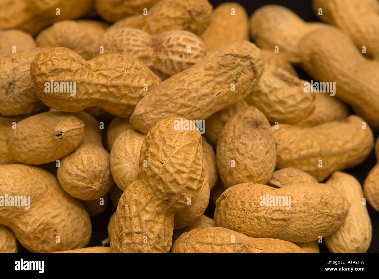 Peanuts in the shell, groundnuts Stock Photo - Alamy