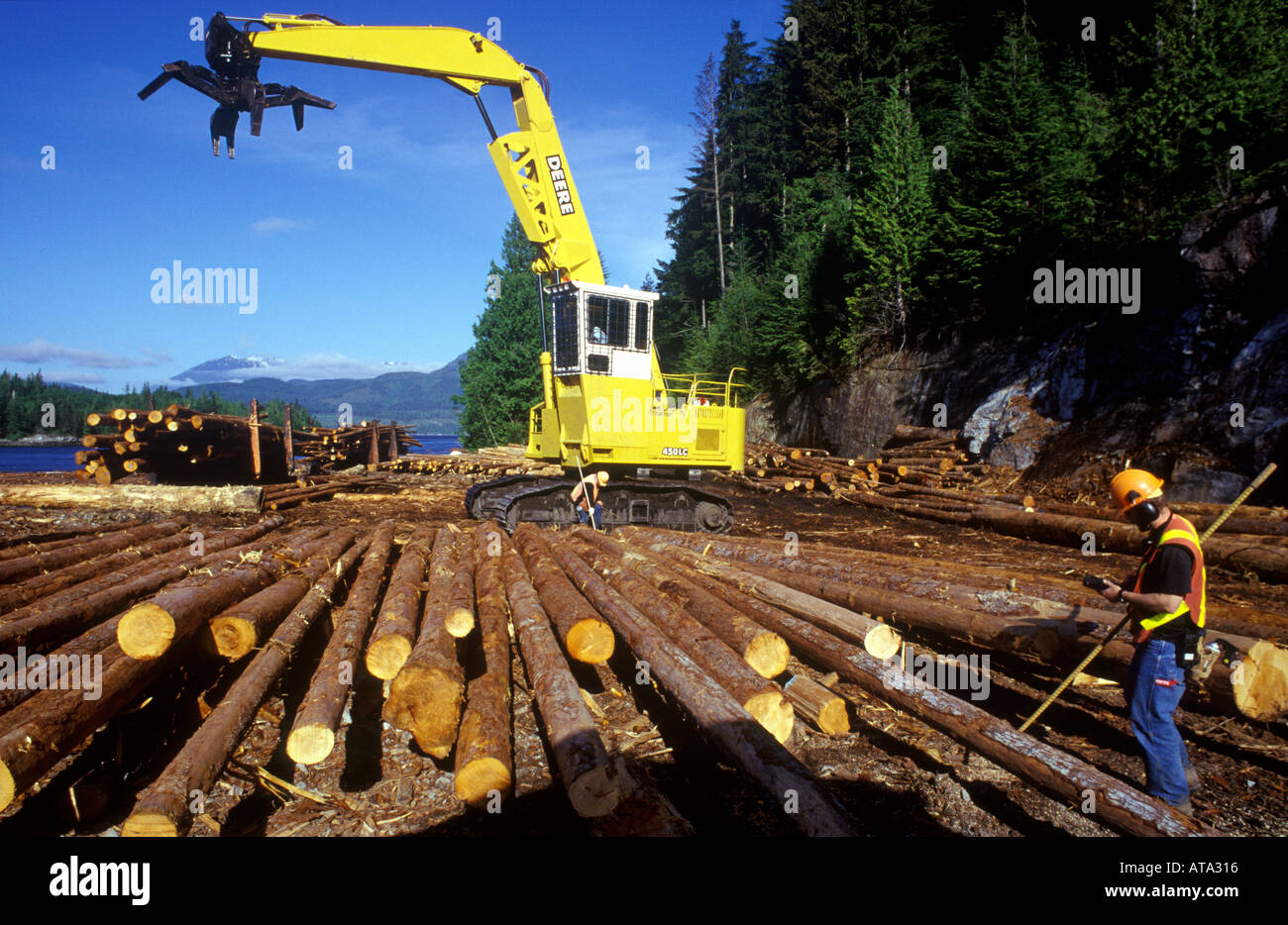 Logging sort hi-res stock photography and images - Alamy