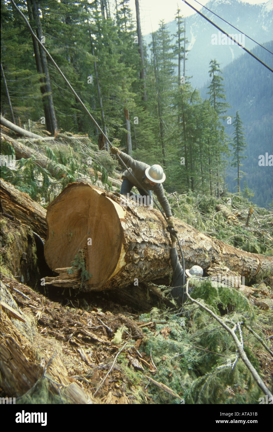 High Lead Logging High Resolution Stock Photography and Images - Alamy