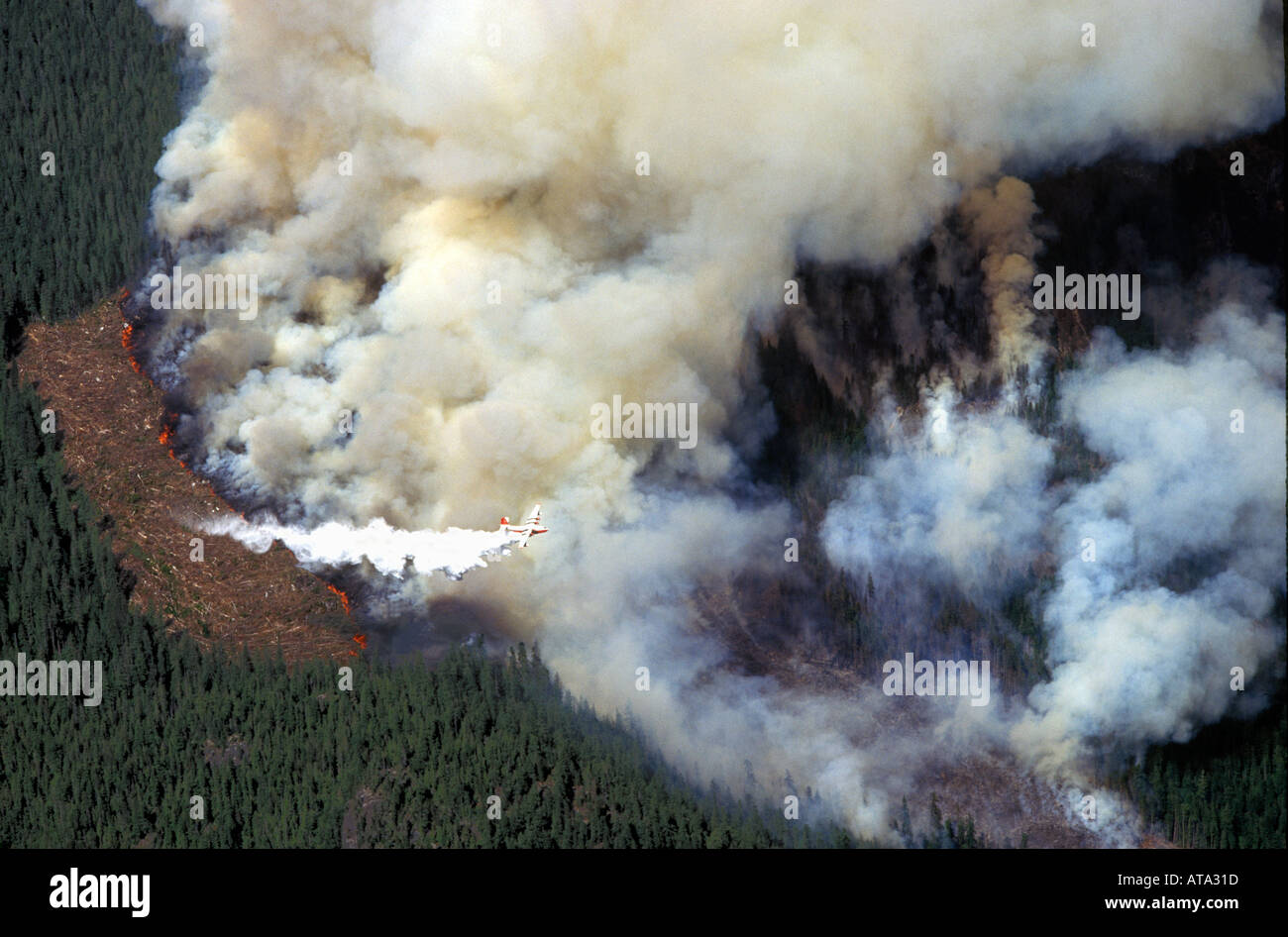 martin mars water drop in costal british columbia Stock Photo - Alamy