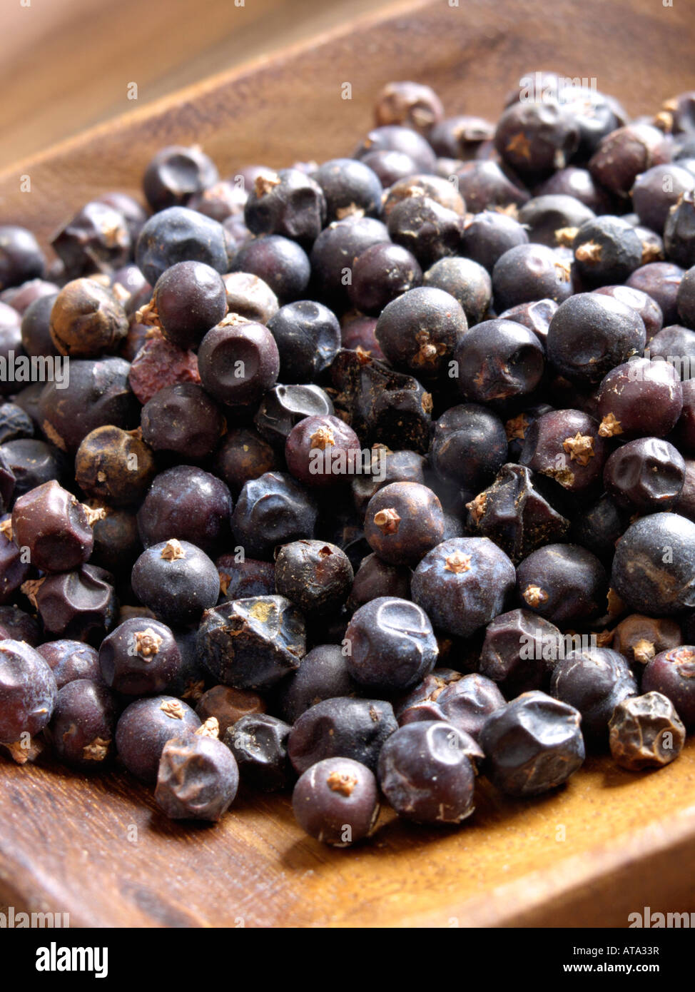Common juniper (Juniperus communis Stock Photo - Alamy