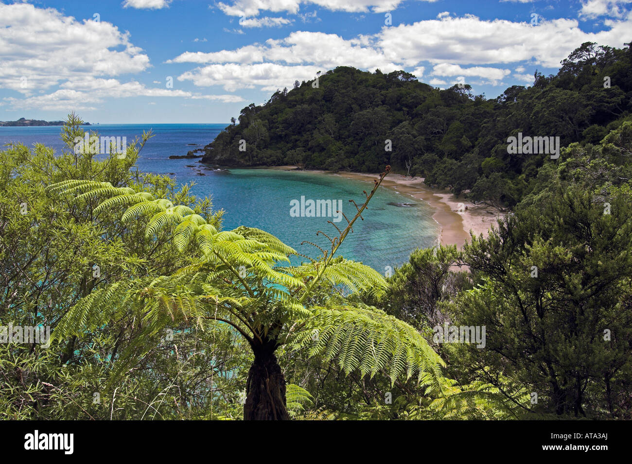 Tutukaka sandy bay new zealand hi-res stock photography and images - Alamy