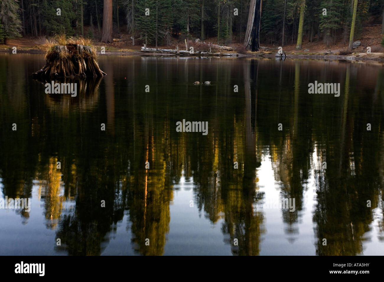 Balch park hi-res stock photography and images - Alamy