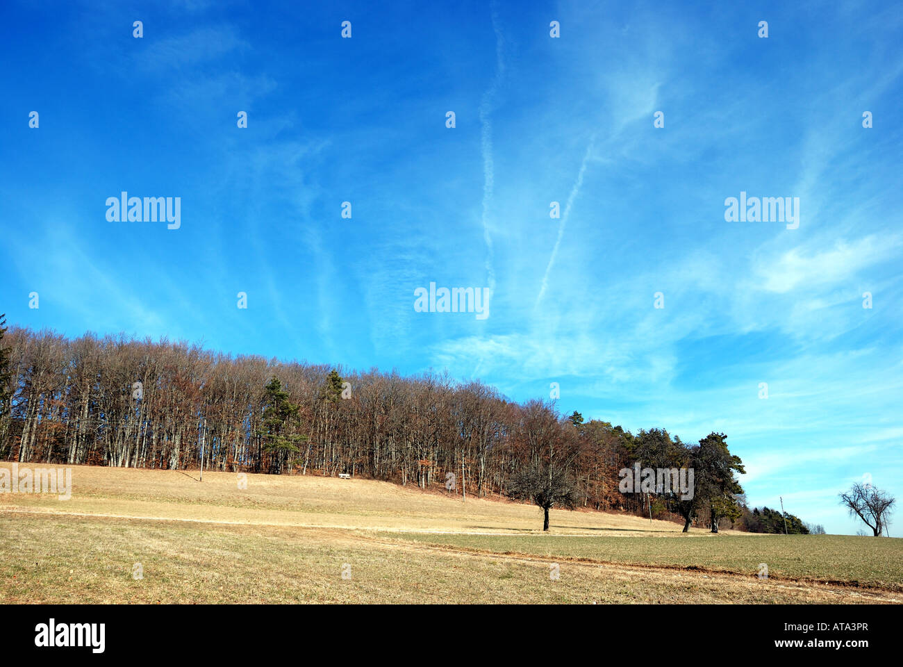 Blue sky white cloud formation in an autumn landscape Stock Photo - Alamy