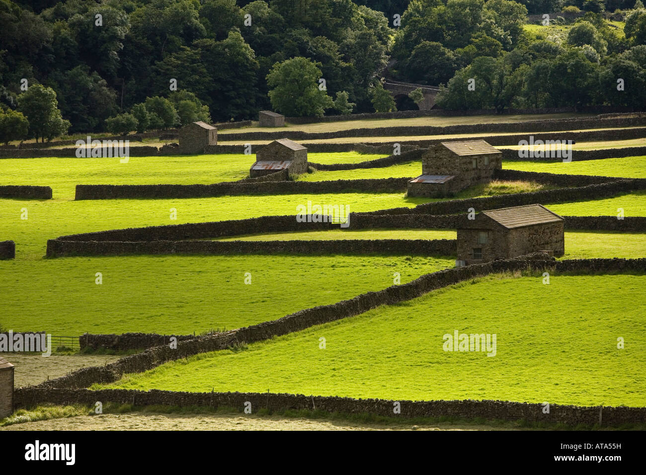 Gunnerside Bottoms Swaledale Yorkshire Dales National Park Stock Photo ...