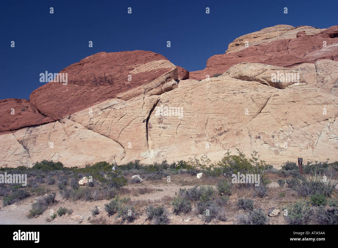Red Rock Canyon National Conservation Area Las Vegas Nevada USA Stock ...
