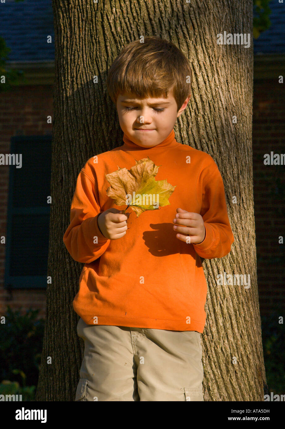 VIRGINIA, USA - Autistic Boy, age 6, in front of tree, looks at leaf ...