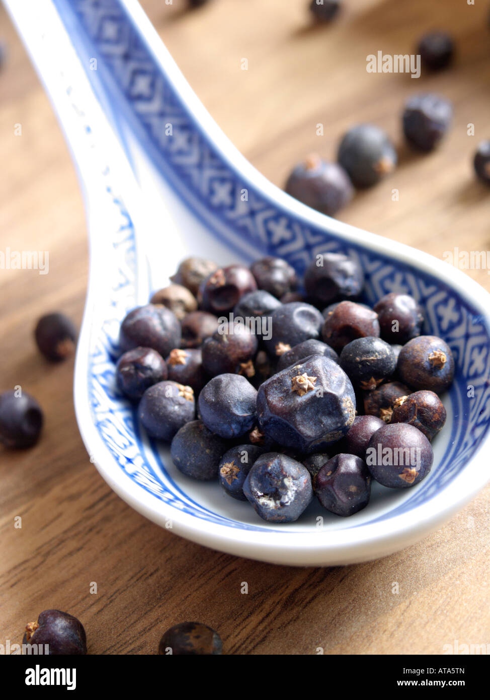 Common juniper (Juniperus communis Stock Photo - Alamy