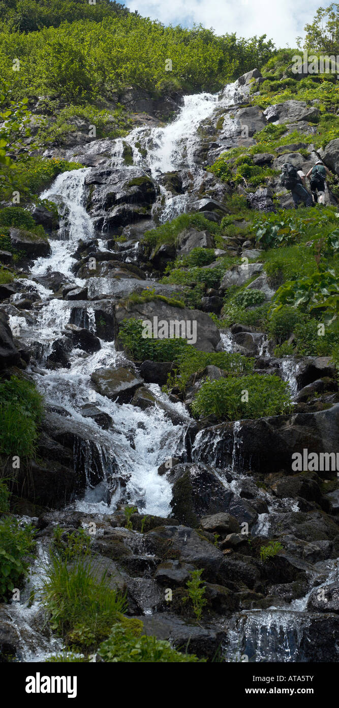 Beautiful mountain water stream with small cascades. Prut River source ...