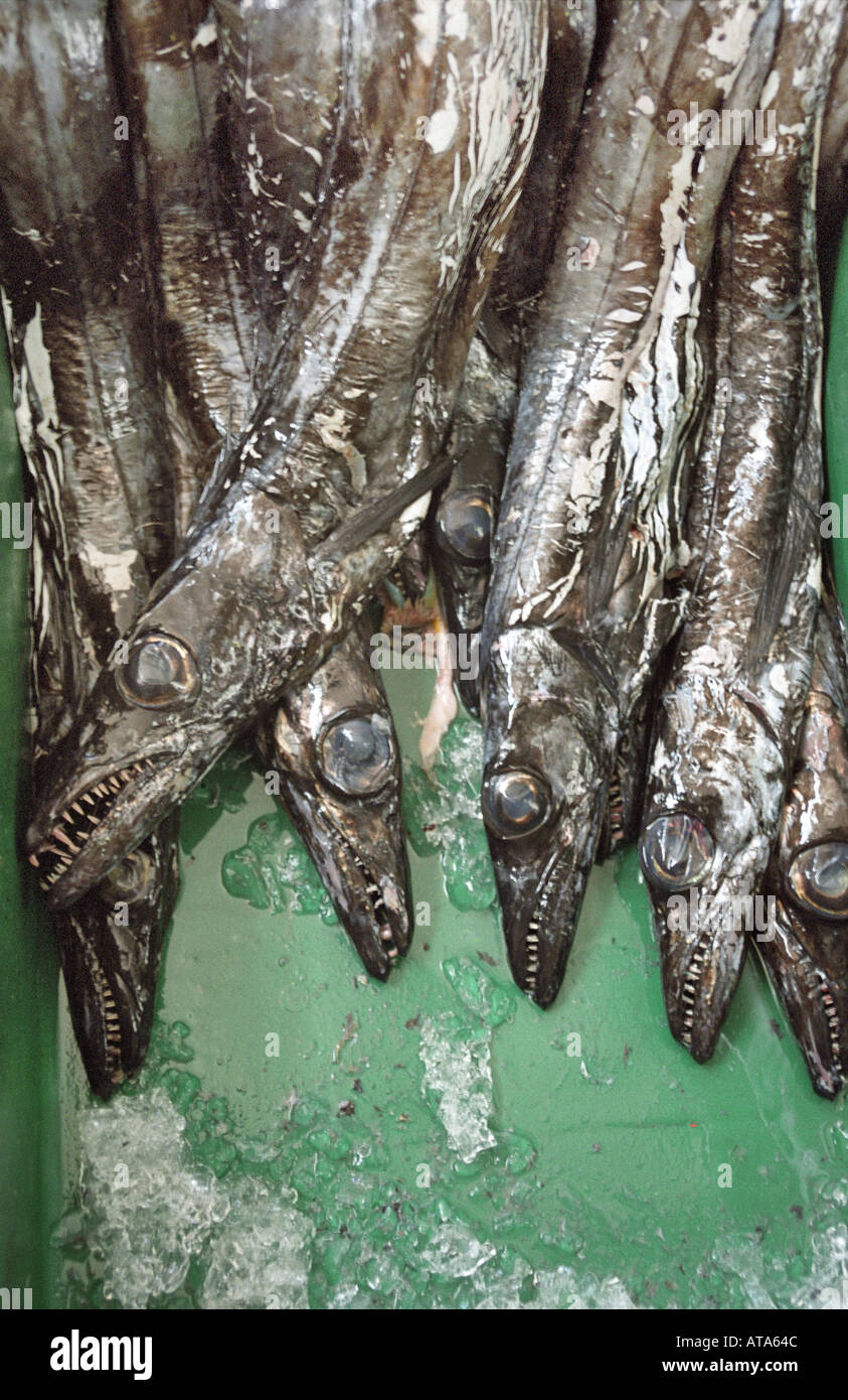 Holidays in Madeira Scabbard Fish or Espada Scabbard Fish Stock Photo ...