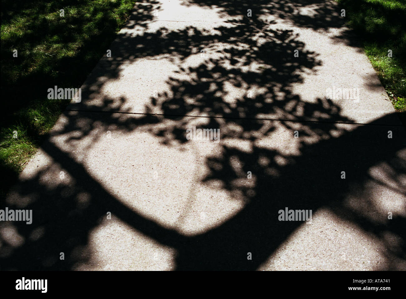 Midday shadows cross a midsummer sidewalk Stock Photo - Alamy