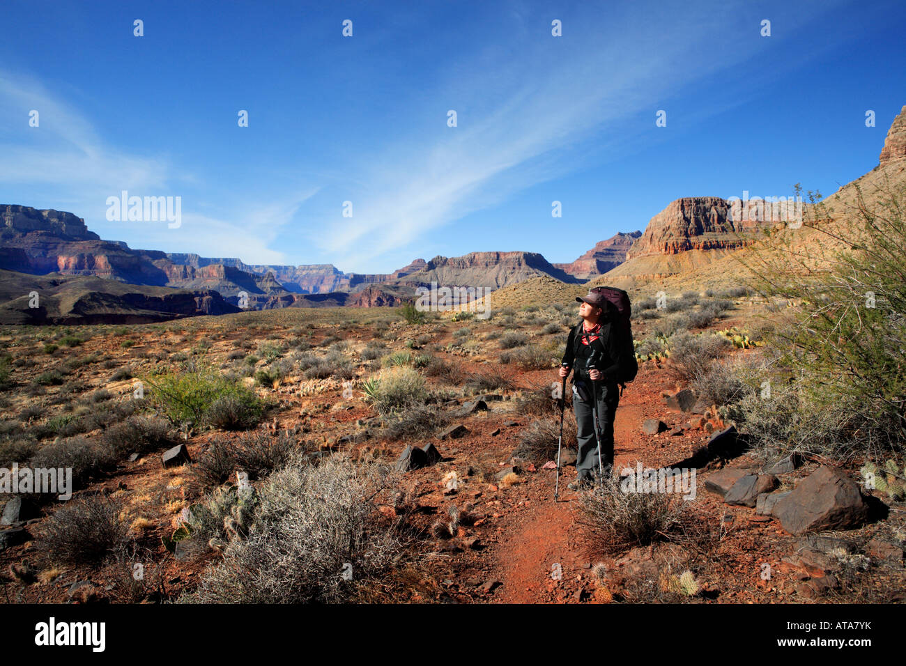 FEMALE BACKPACKER ON CLEAR CREEK TRAIL CROSSING THE DESERT NEAR ...