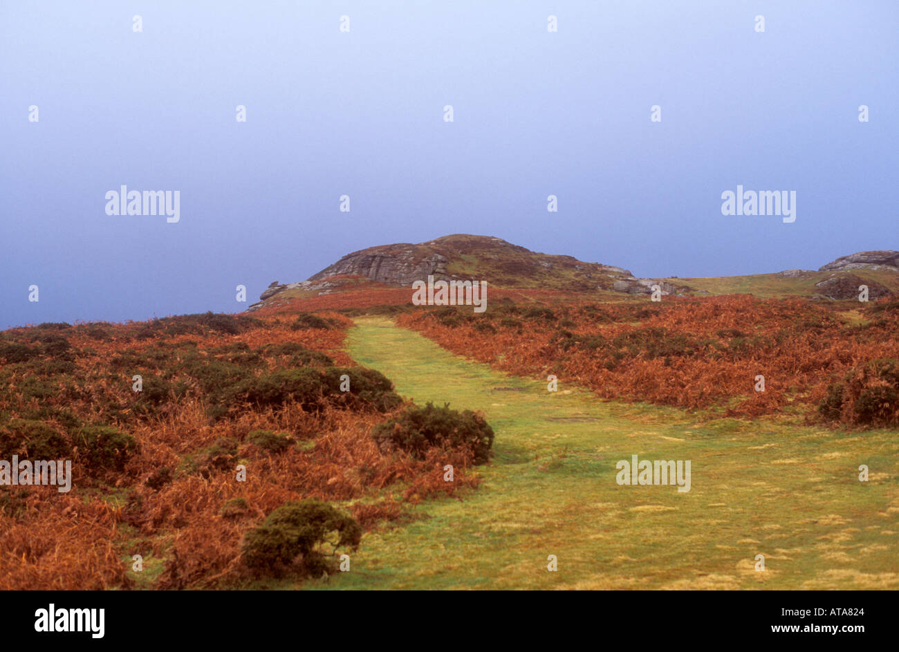 Saddle Tor Dartmoor National Park Devon England Stock Photo - Alamy